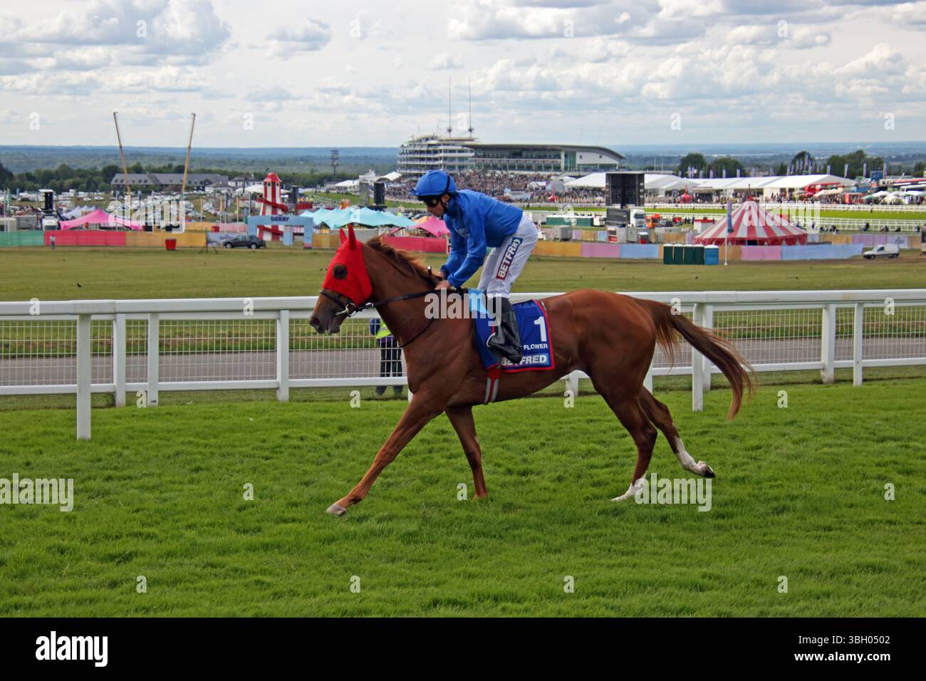 Epsom Downs, Surrey, England, UK. 6th June, 2025. Ladies Day Horse ...