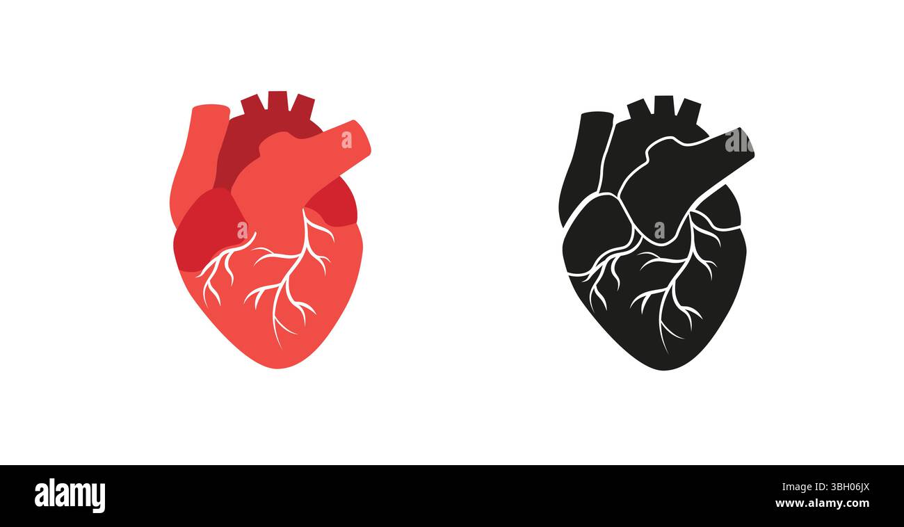 Heart contrast in red and black: anatomical variations illustrating ...