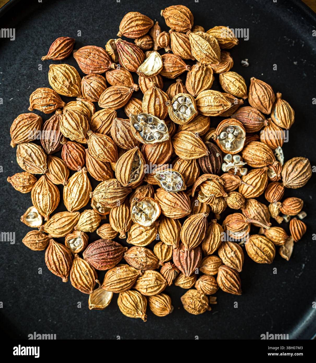 A close-up view of dried black cardamom pods on a dark surface ...