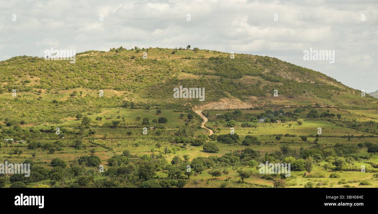 Beautiful landscape of a mountain with lush green vegetation ...
