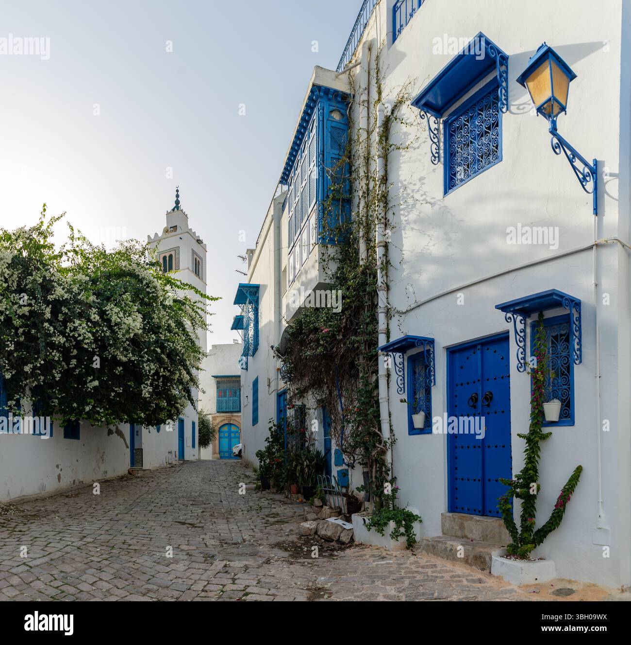 A picture of the blue and white streets of Sidi Bou Said, Tunis Stock ...