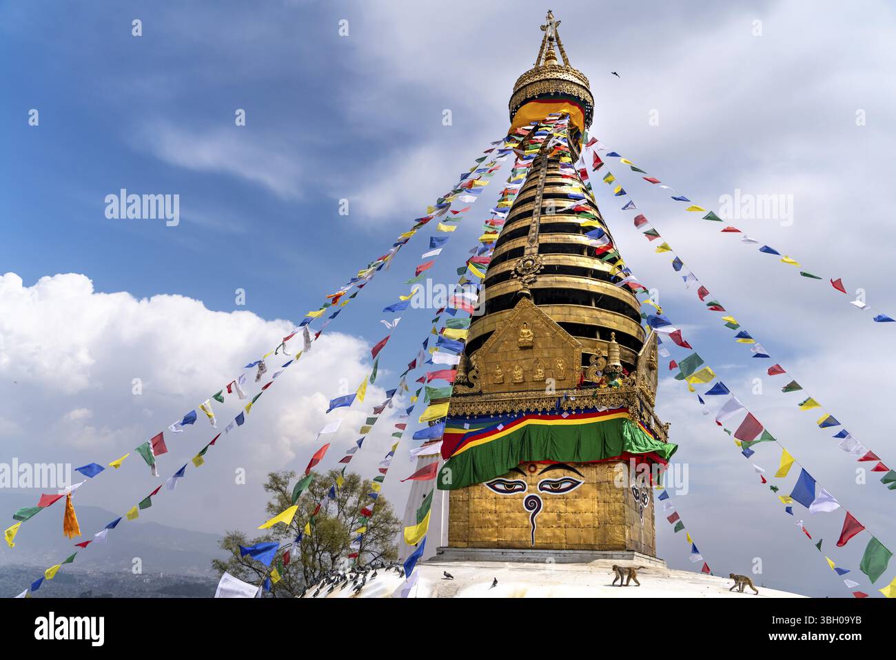 The Swayambhu Maha Chaitya stupa Stock Photo - Alamy
