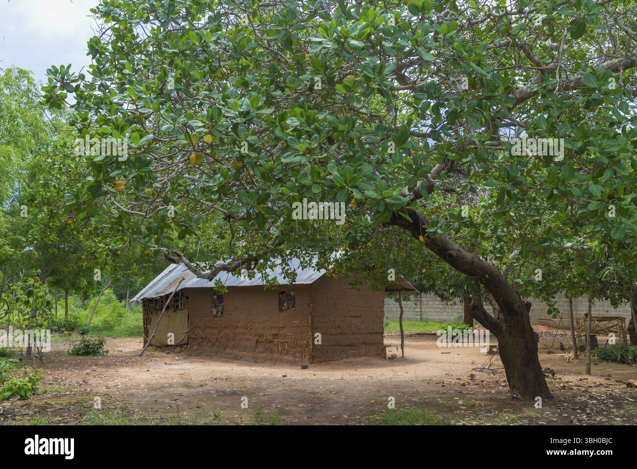A small hut made of wood and clay in a remote village in Tanzania Stock ...