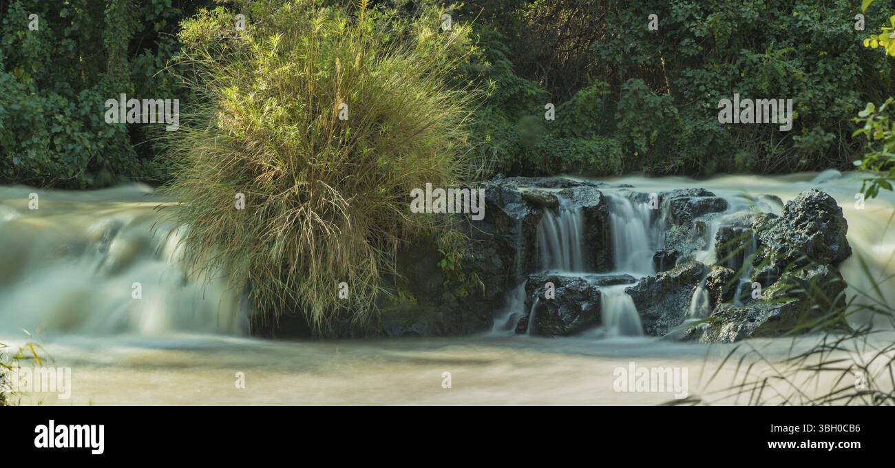 The Awash River flowing through the dense vegetation in the Rift Valley ...