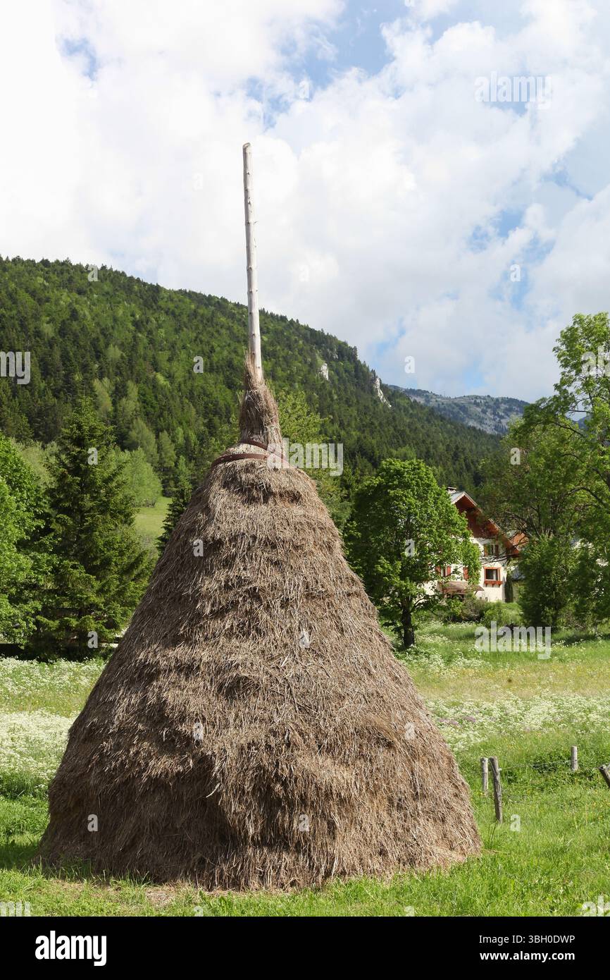 Loose hay stack hi-res stock photography and images - Alamy