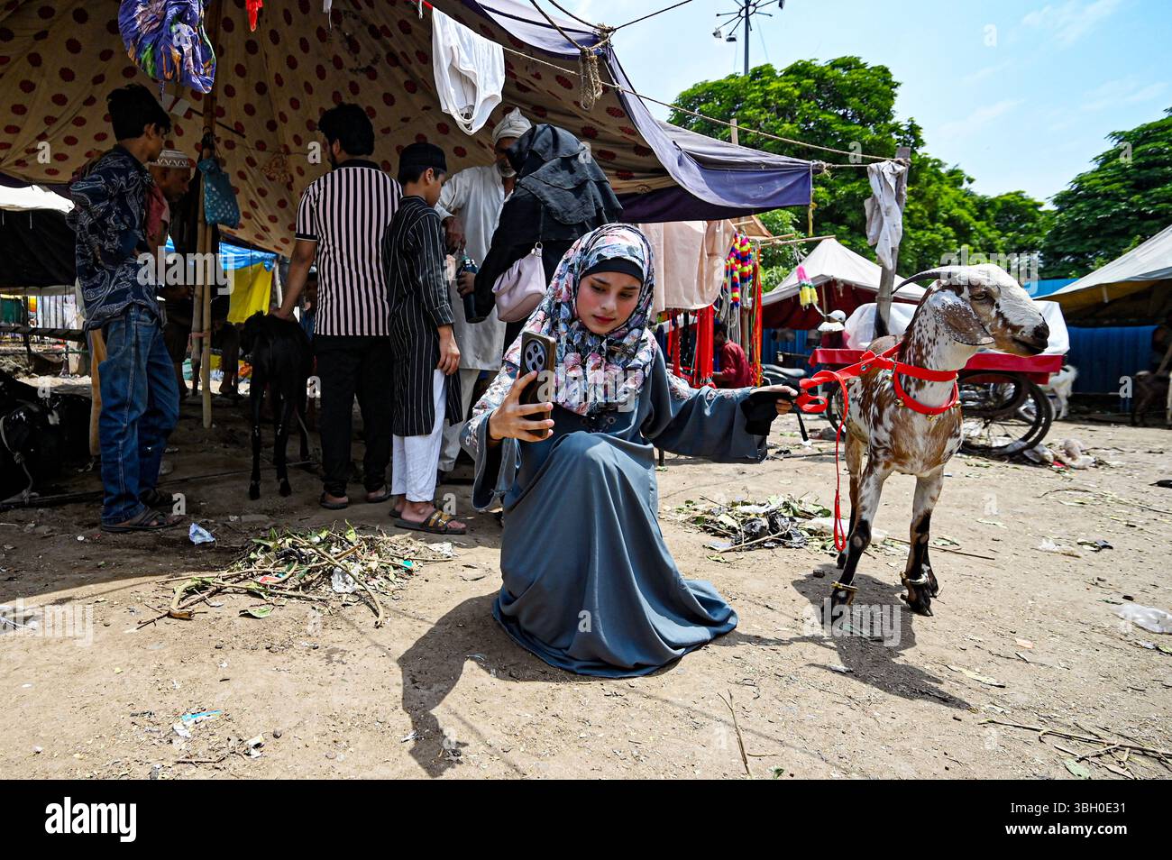 NEW DELHI, INDIA - JUNE 6: Goats for sale ahead of the festival of Eid ...