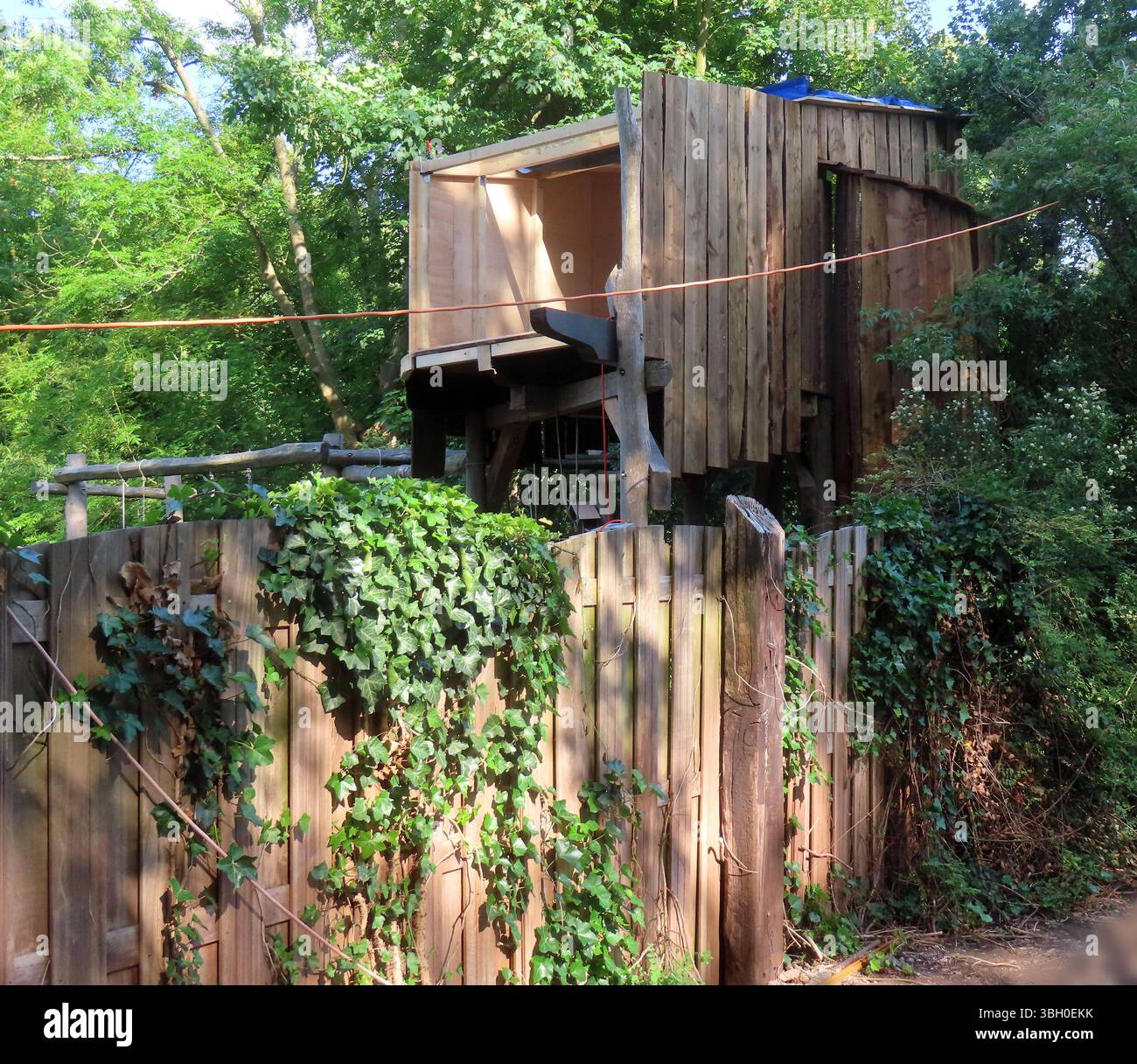 ...da will jemand hoch hinaus - hoffentlich haelt die Baude ...