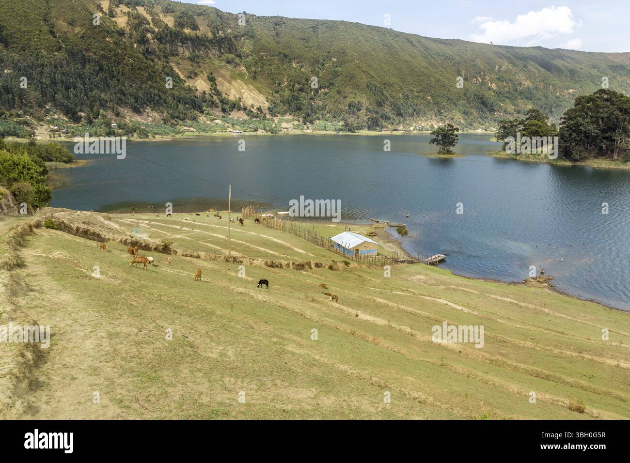 Beautiful Wonchi crater lake situated in Oromia Regional state in South ...