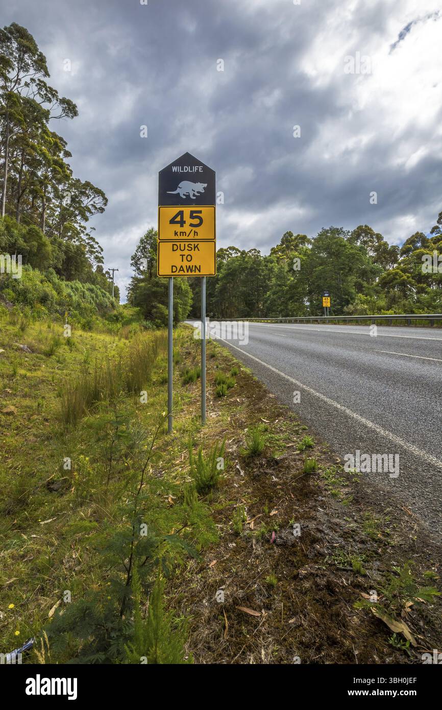 Warning sign speed limit 65 km-h Tasmanian Devil crossing from dusk to ...