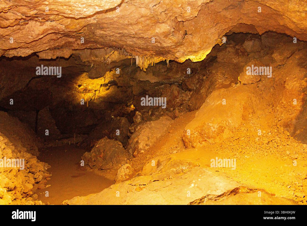 Yanchep caves hi-res stock photography and images - Alamy