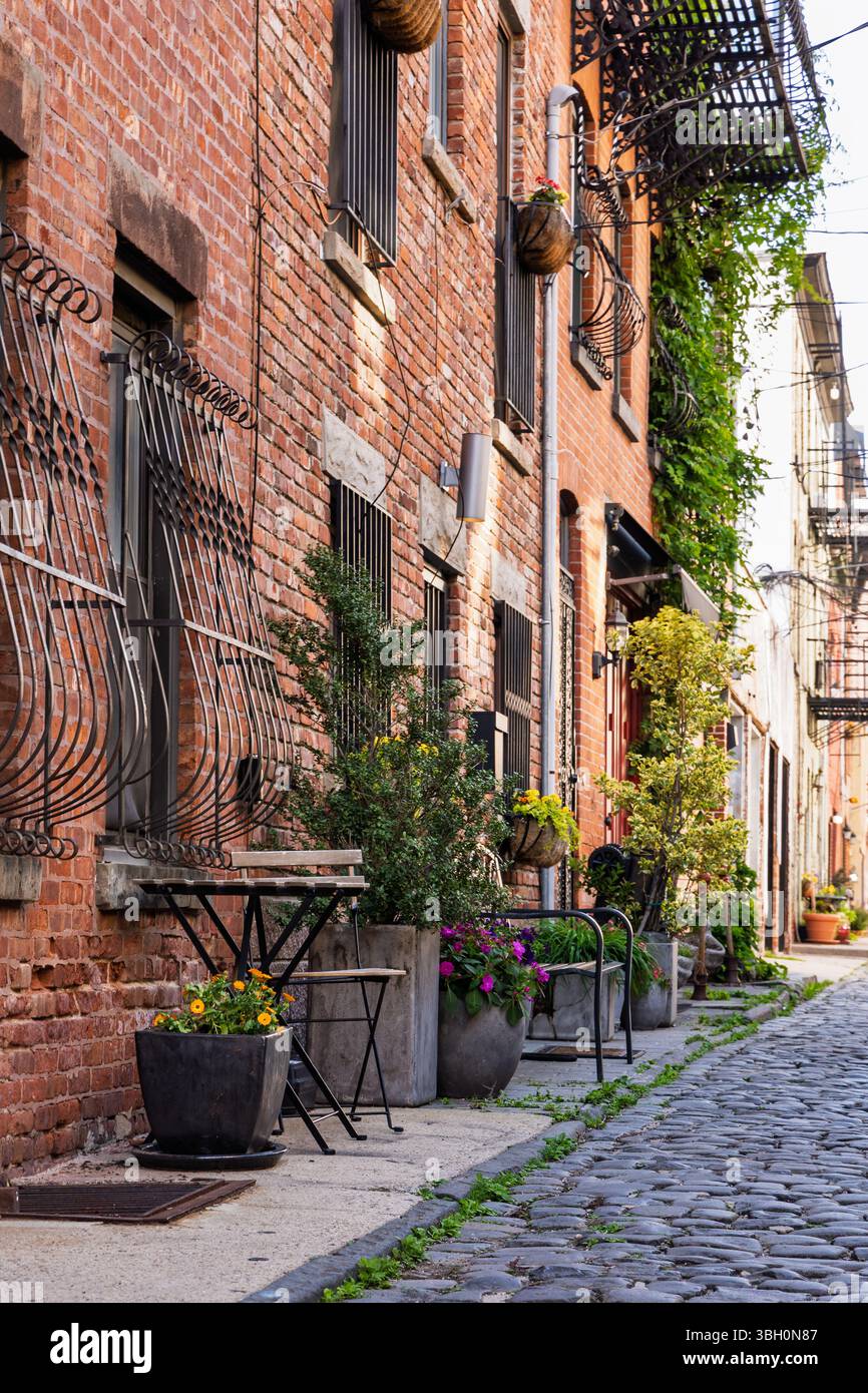 Tranquil alleyway lined potted plants hi-res stock photography and ...