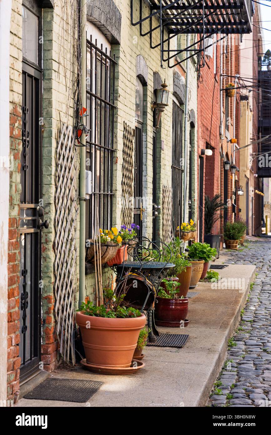 A row of colorful potted plants and vintage doors line the stoop of ...