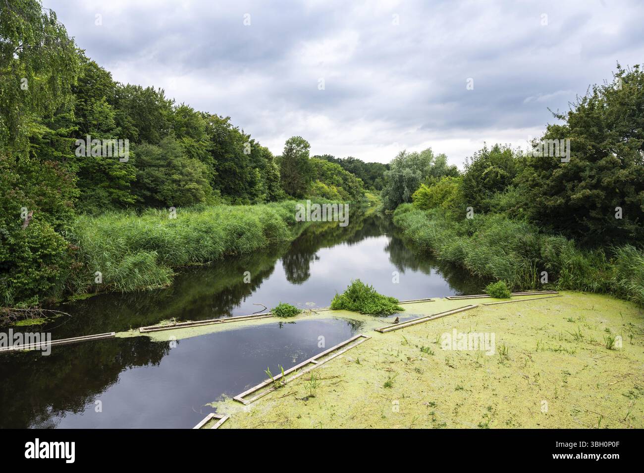 Green landscape with water ponds around Koge, Seeland, Denmark, Europe ...