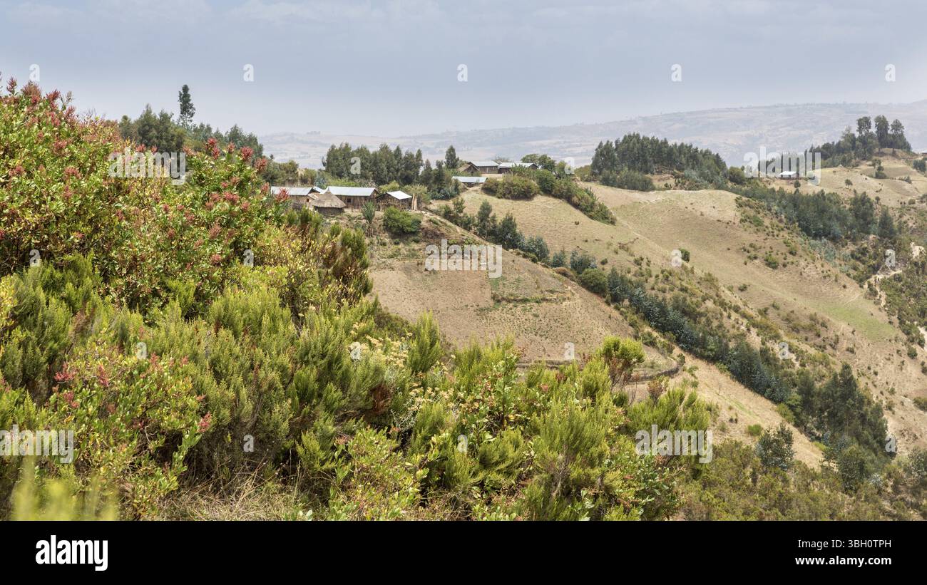 The hilly landscapes of Ethiopia near Wonchi creator lake area Stock ...