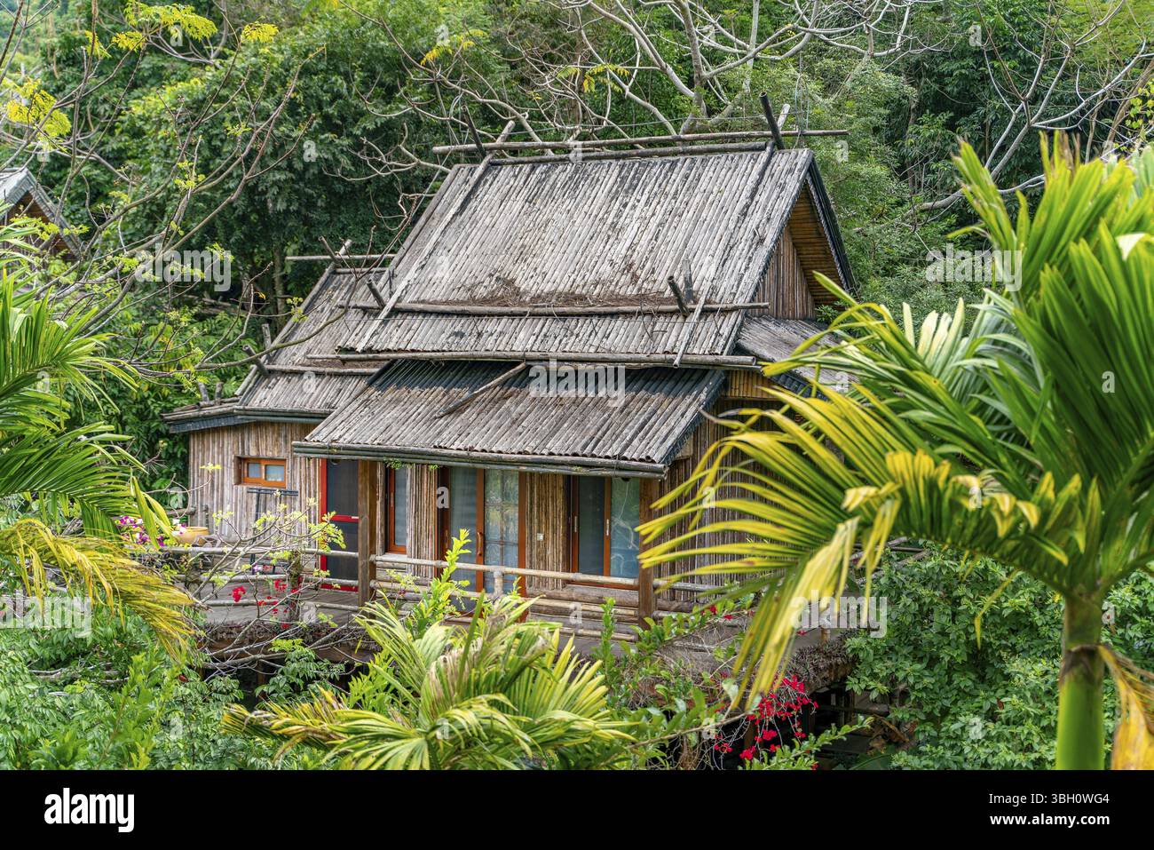 The traditional tribal village of Li and Miao minorities in China Stock ...