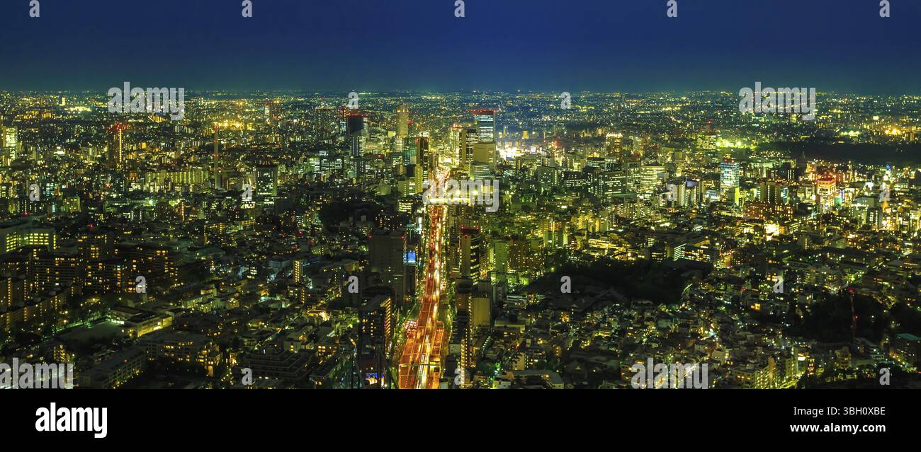 Tokyo Skyline panorama at blue hour. Roppongi Hills, Minato District ...