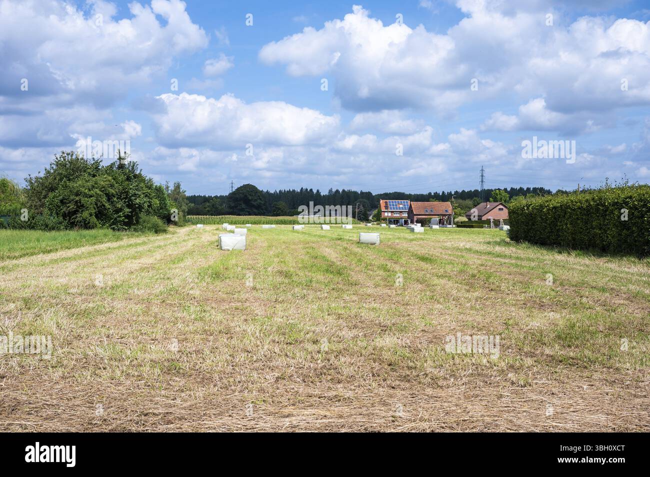 Farmhouses and farmland with harvested agriculture fields arould ...