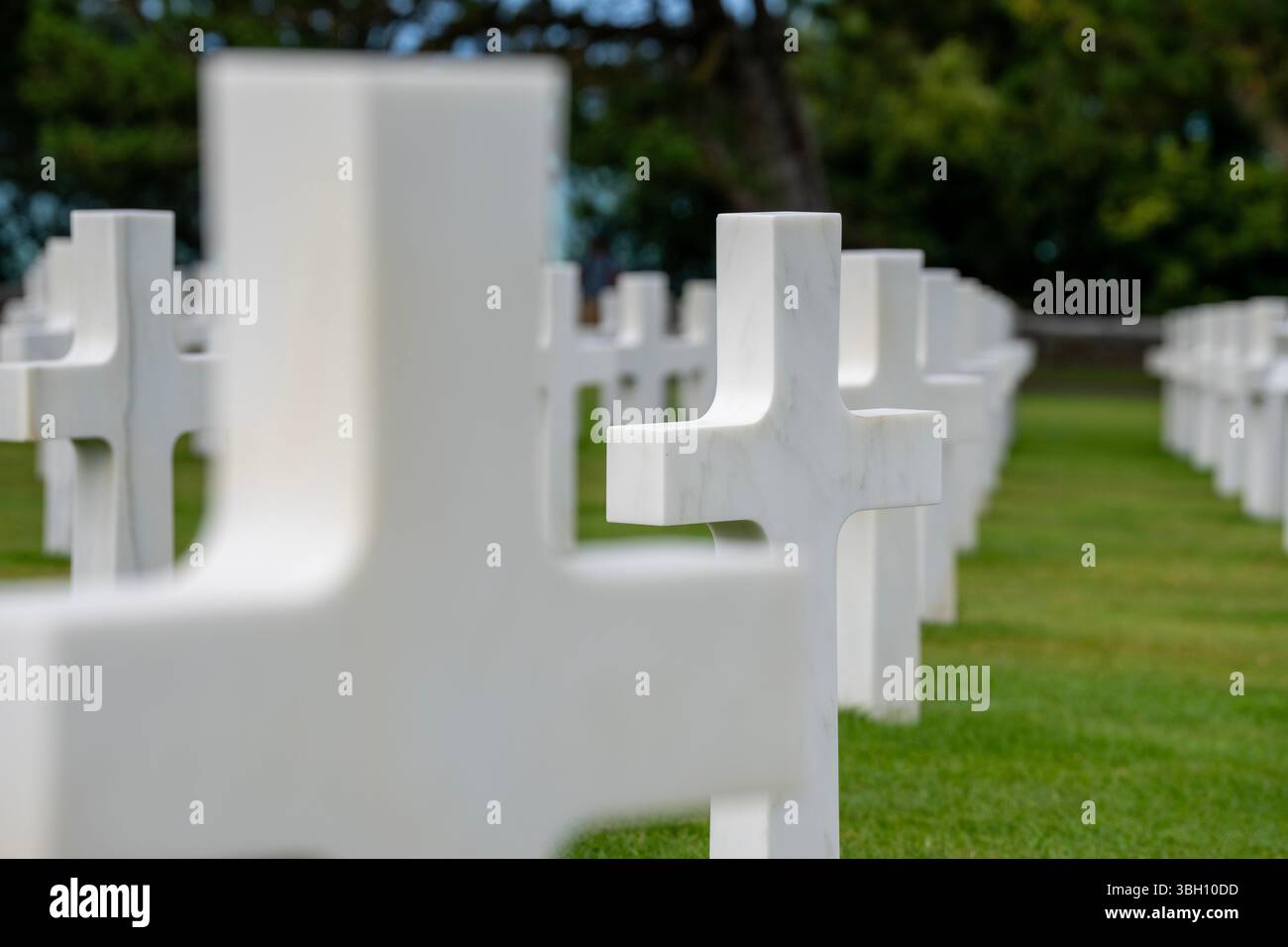 Standing among the endless rows of white crosses at the Normandy ...