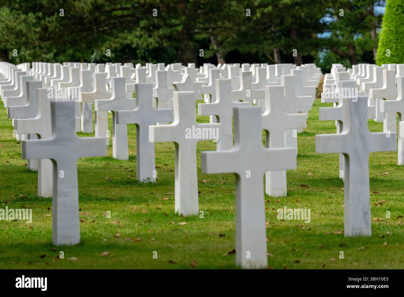 Standing among the endless rows of white crosses at the Normandy ...