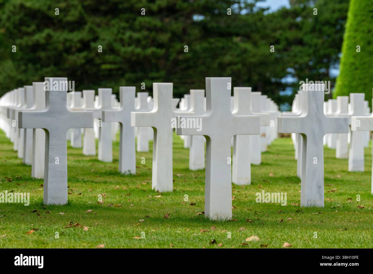Standing among the endless rows of white crosses at the Normandy ...