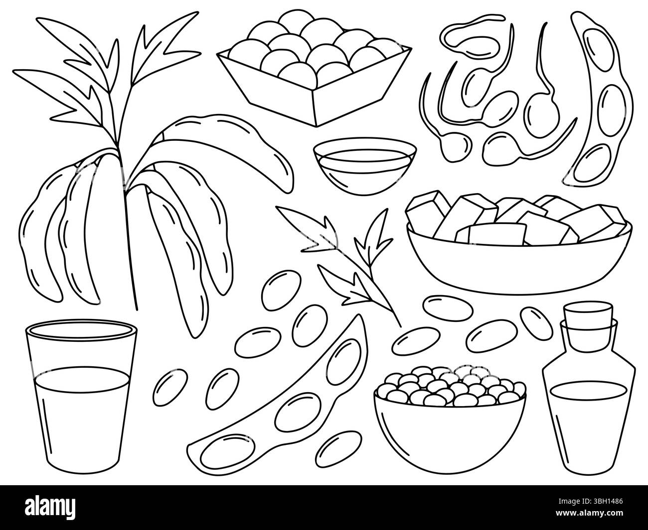 Soy bean sketch set Stock Vector Image & Art - Alamy