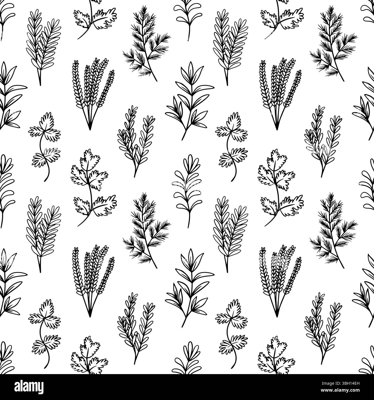 Cooking herbs spices seamless Stock Vector Images - Alamy