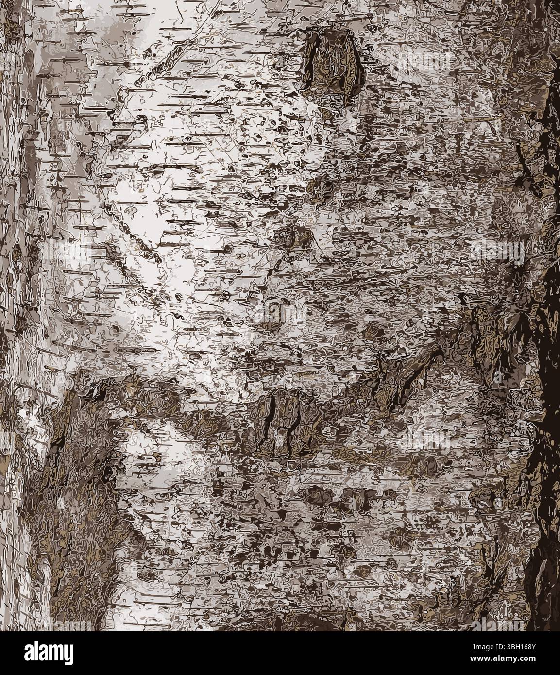 Birch tree bark silver texture Stock Vector Images - Alamy