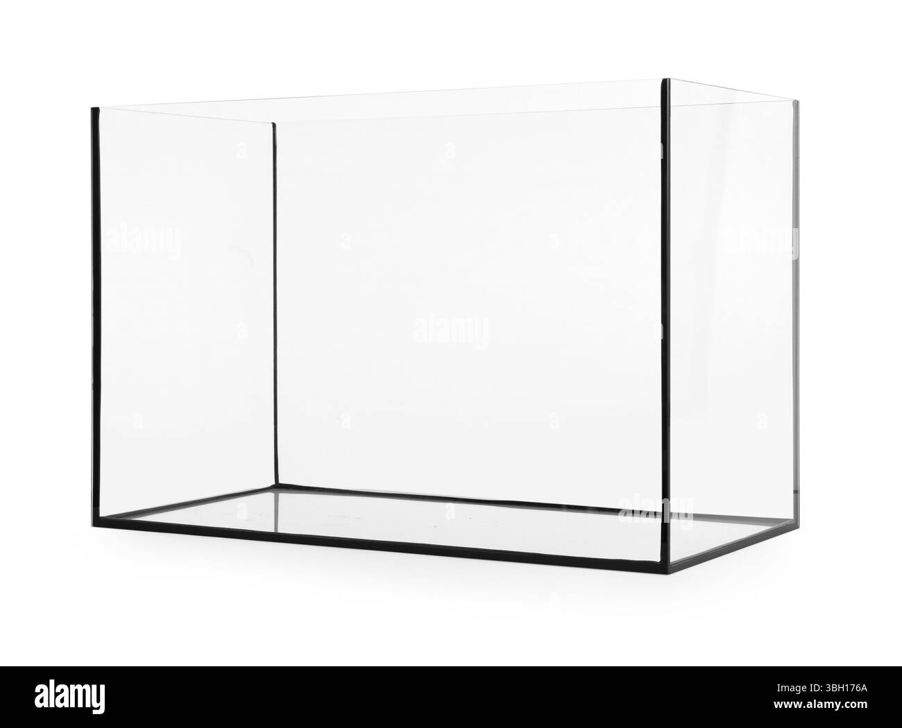 Terrarium glass pet Black and White Stock Photos & Images - Alamy