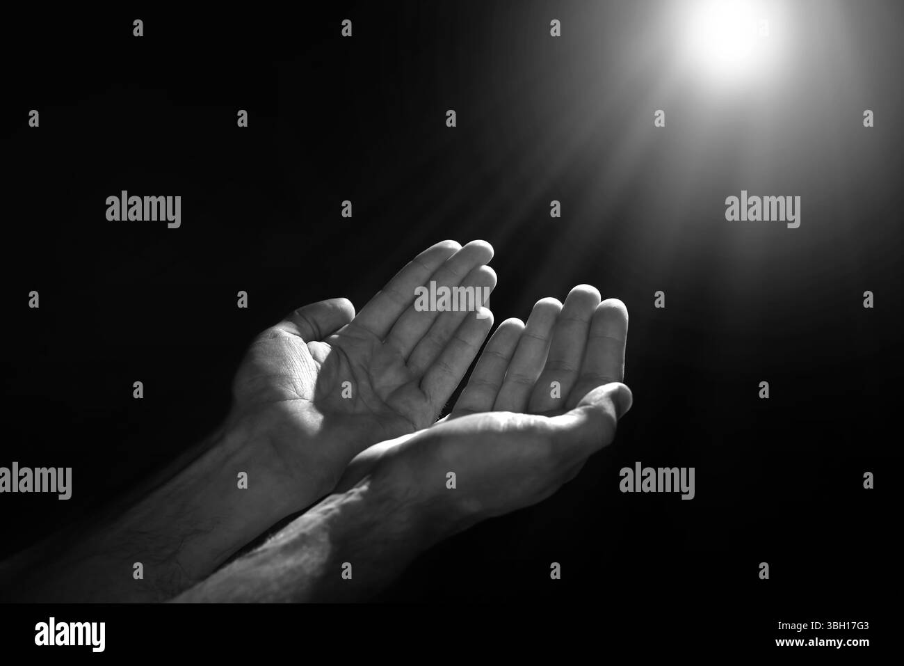 In praise of light Black and White Stock Photos & Images - Alamy