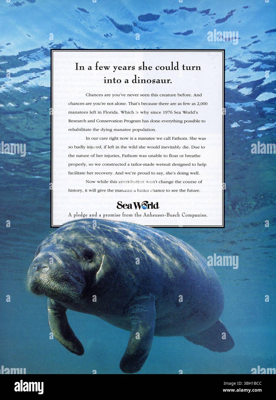 Vintage Smithsonian magazine April 1995 issue advert, USA Stock Photo ...