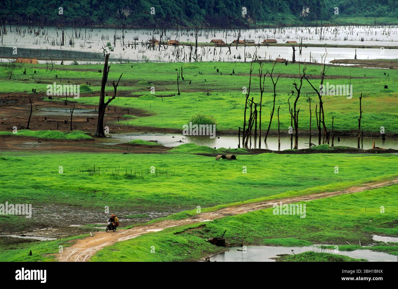 Green plains south asia hi-res stock photography and images - Alamy