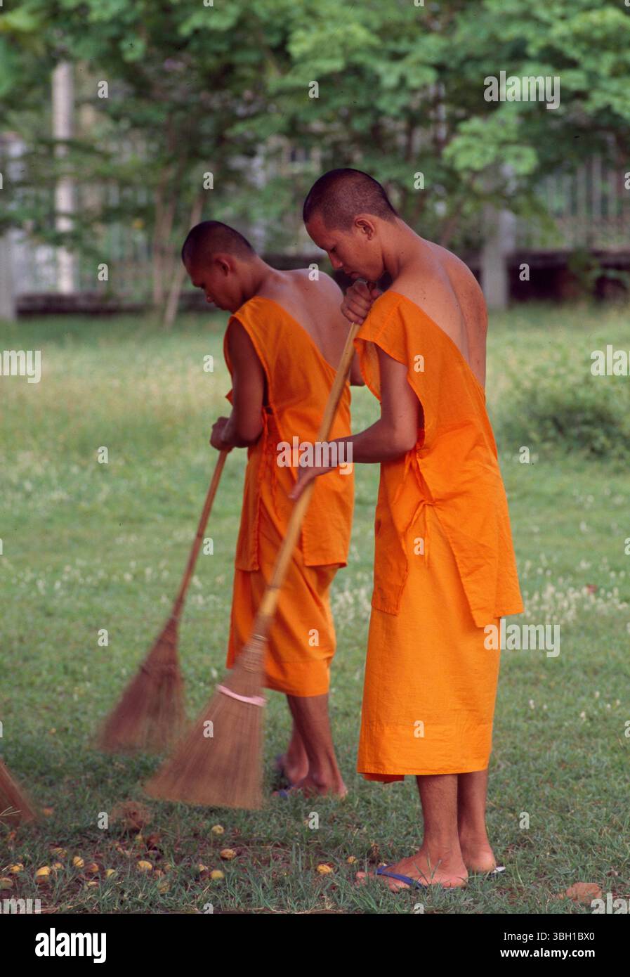 Buddhist monk sweeping hi-res stock photography and images - Alamy