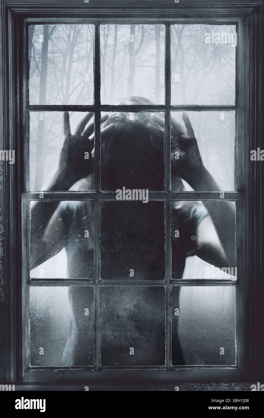 Poster, "The Uninvited" (2009 Stock Photo - Alamy