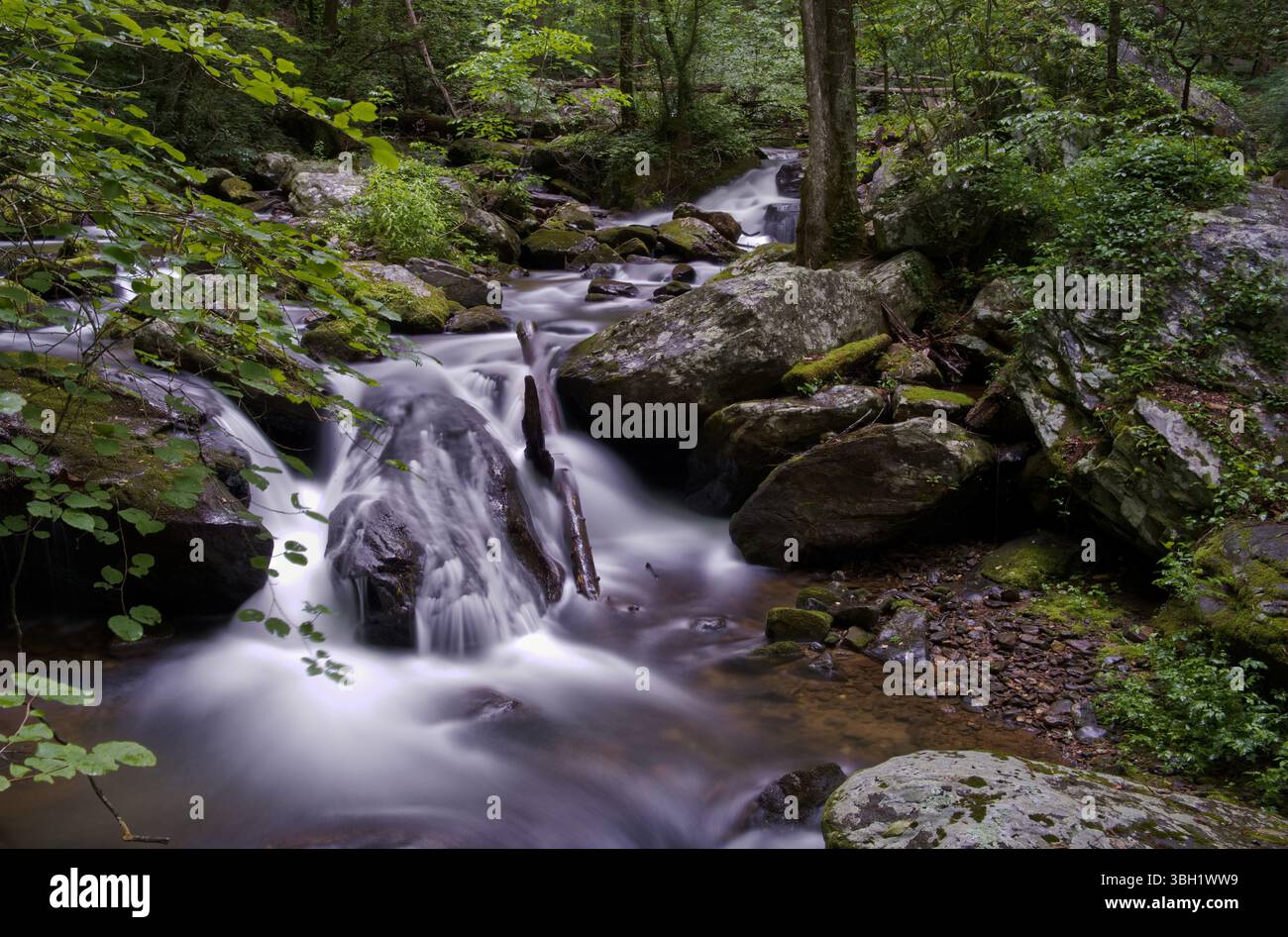 Waterfall at Anna Ruby Falls in Helen, GA Stock Photo - Alamy