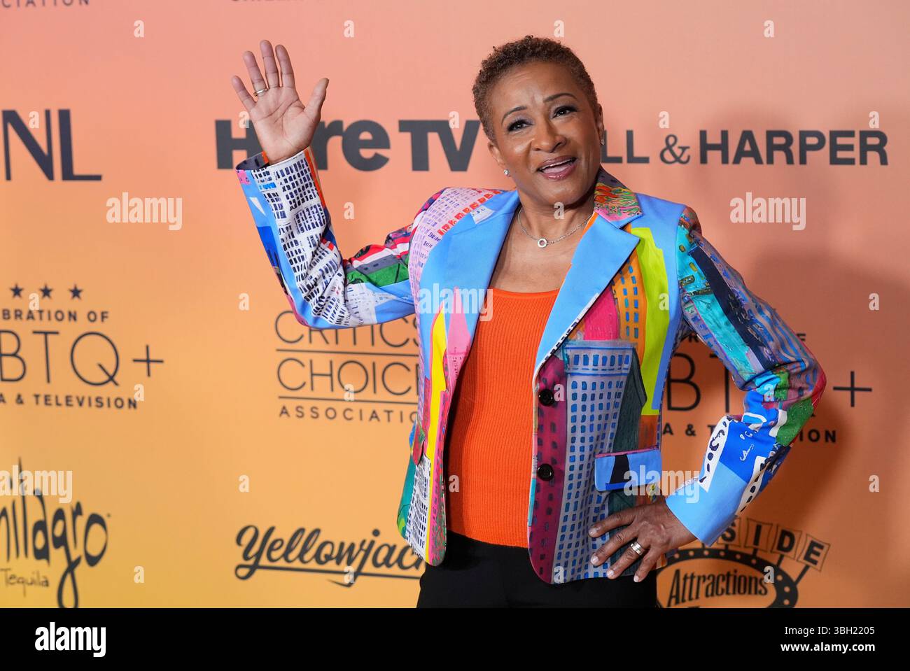 Comedian Wanda Sykes arrives at The Critics Choice Association's 2nd Annual Celebration of ...