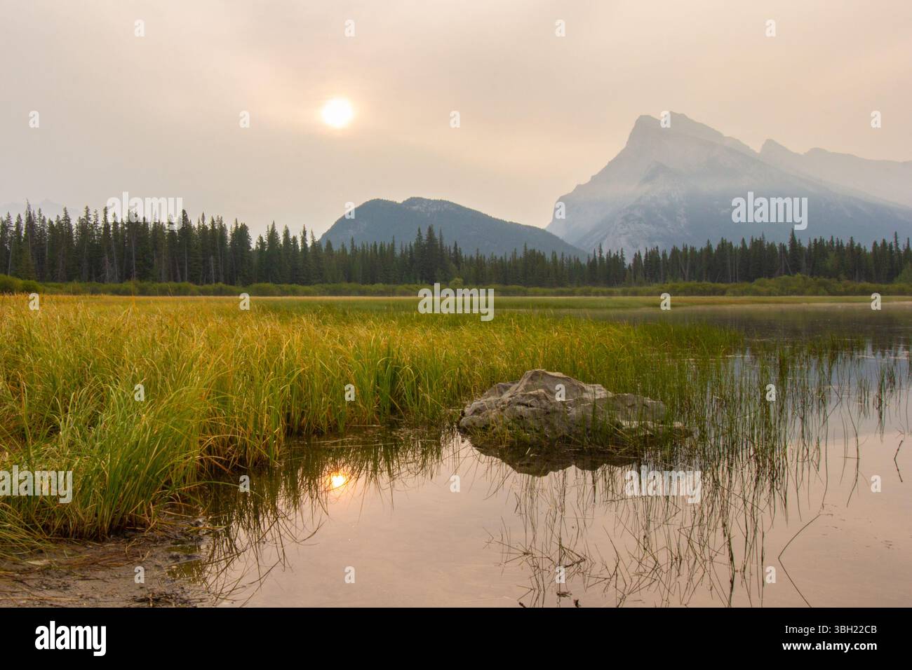 Forest fire smoke creates a tranquil calm scene over the misty ...