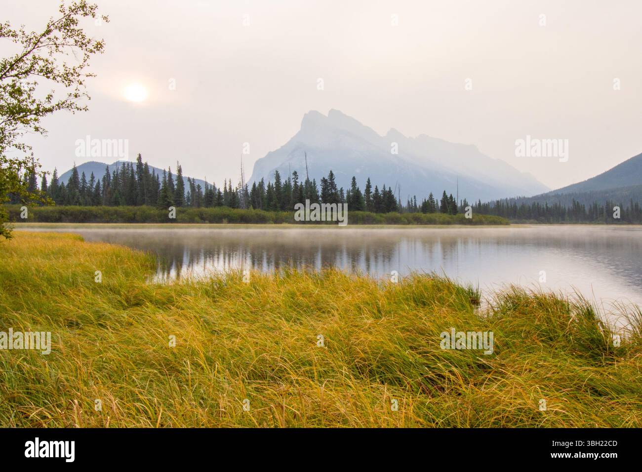 Forest fire smoke creates a tranquil calm scene over the misty ...