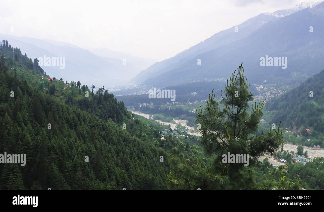 foggy and cloudy lush green forest and himalaya mountain foothills view ...