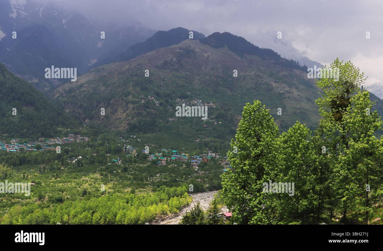 foggy and cloudy lush green forest and himalaya mountain foothills view ...