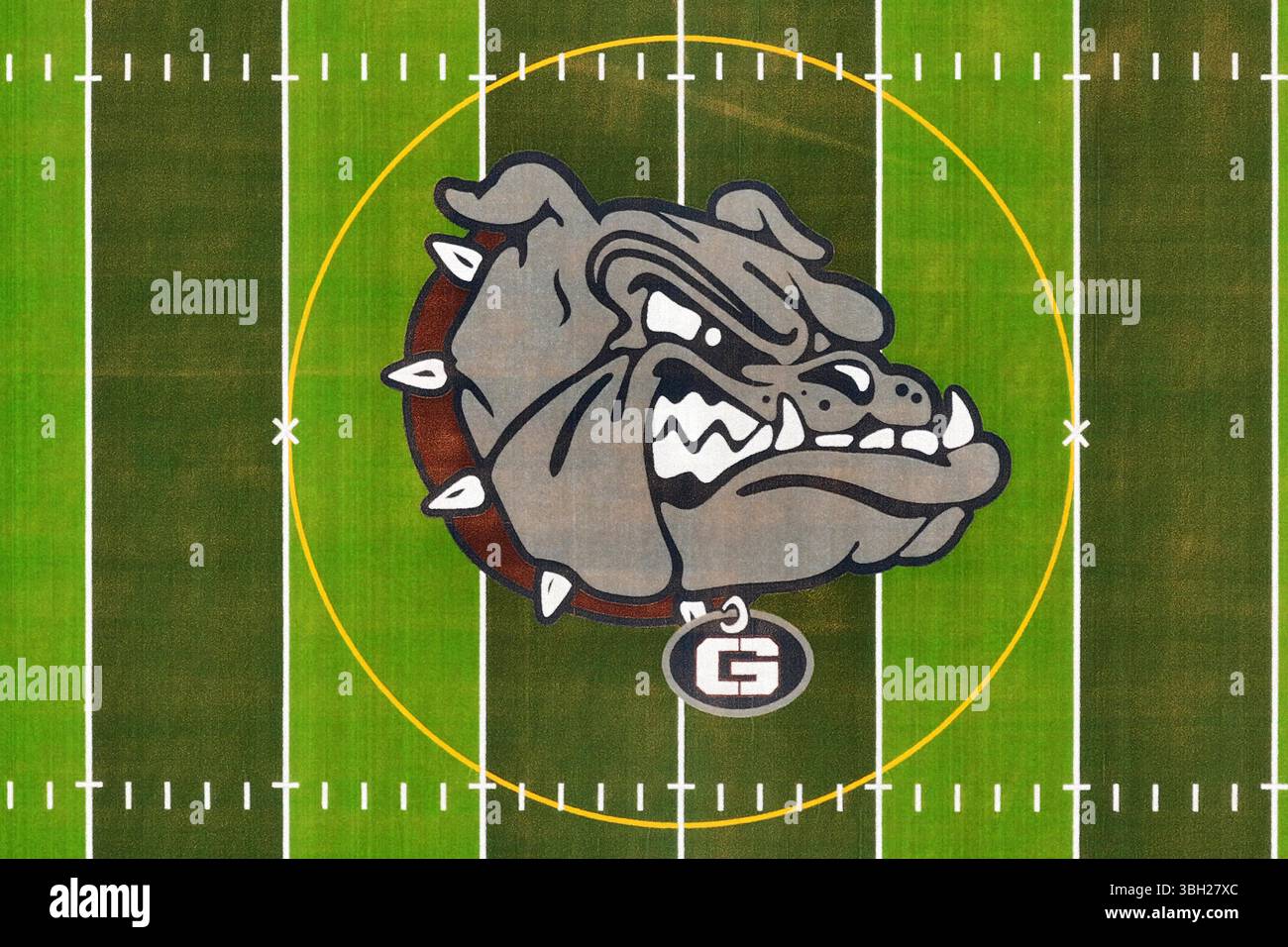 The Garfield Bulldogs logo on the football field at Garfield High ...