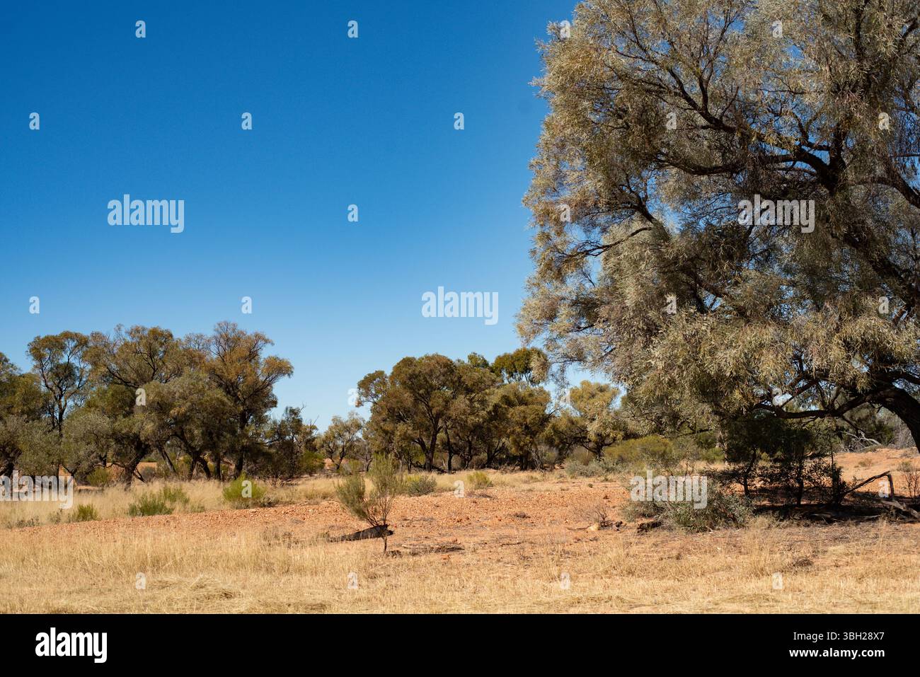 Remote outback australia hi-res stock photography and images - Alamy