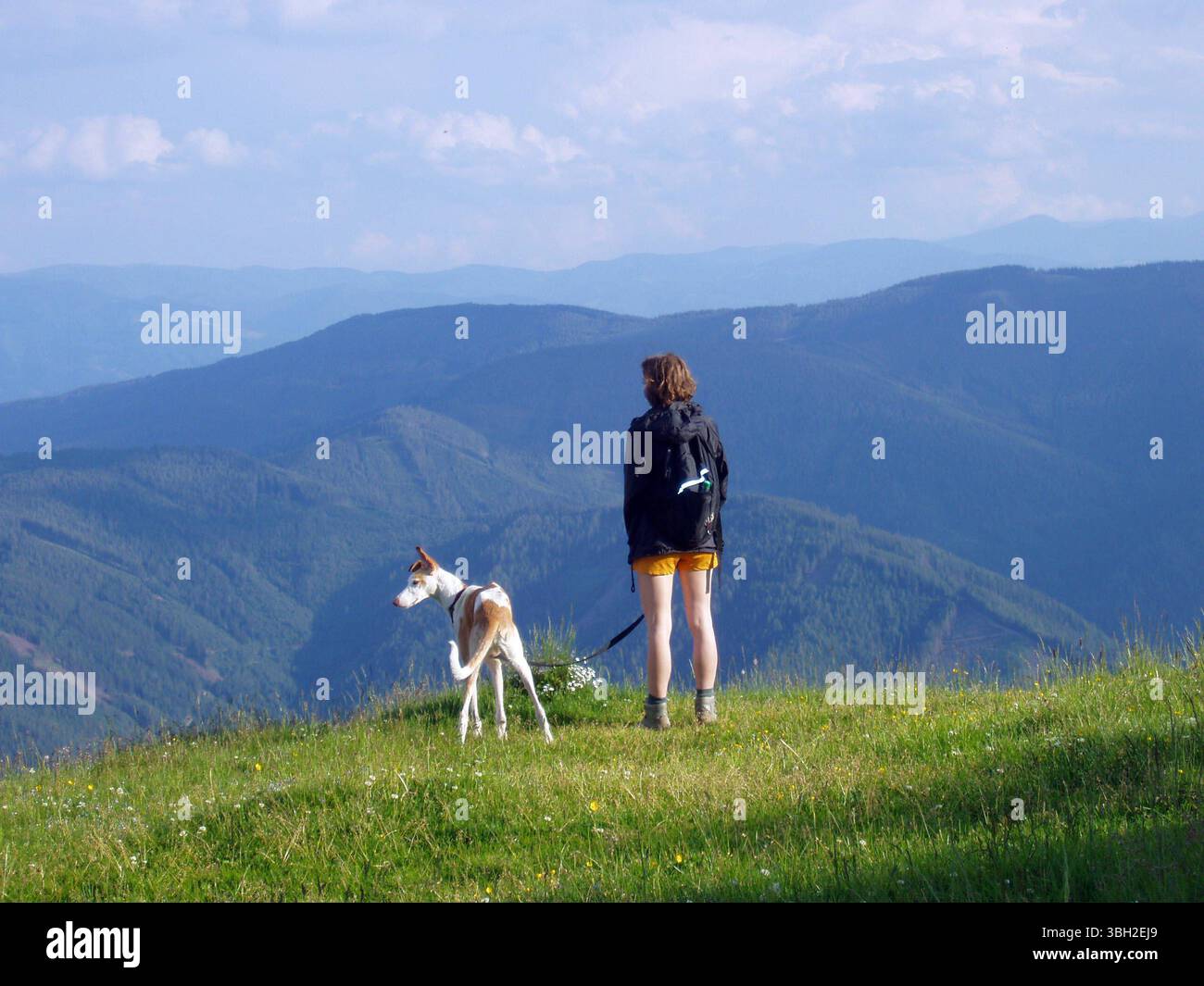 the pet owner taking the dog for a walk outside pet owner taking dog ...