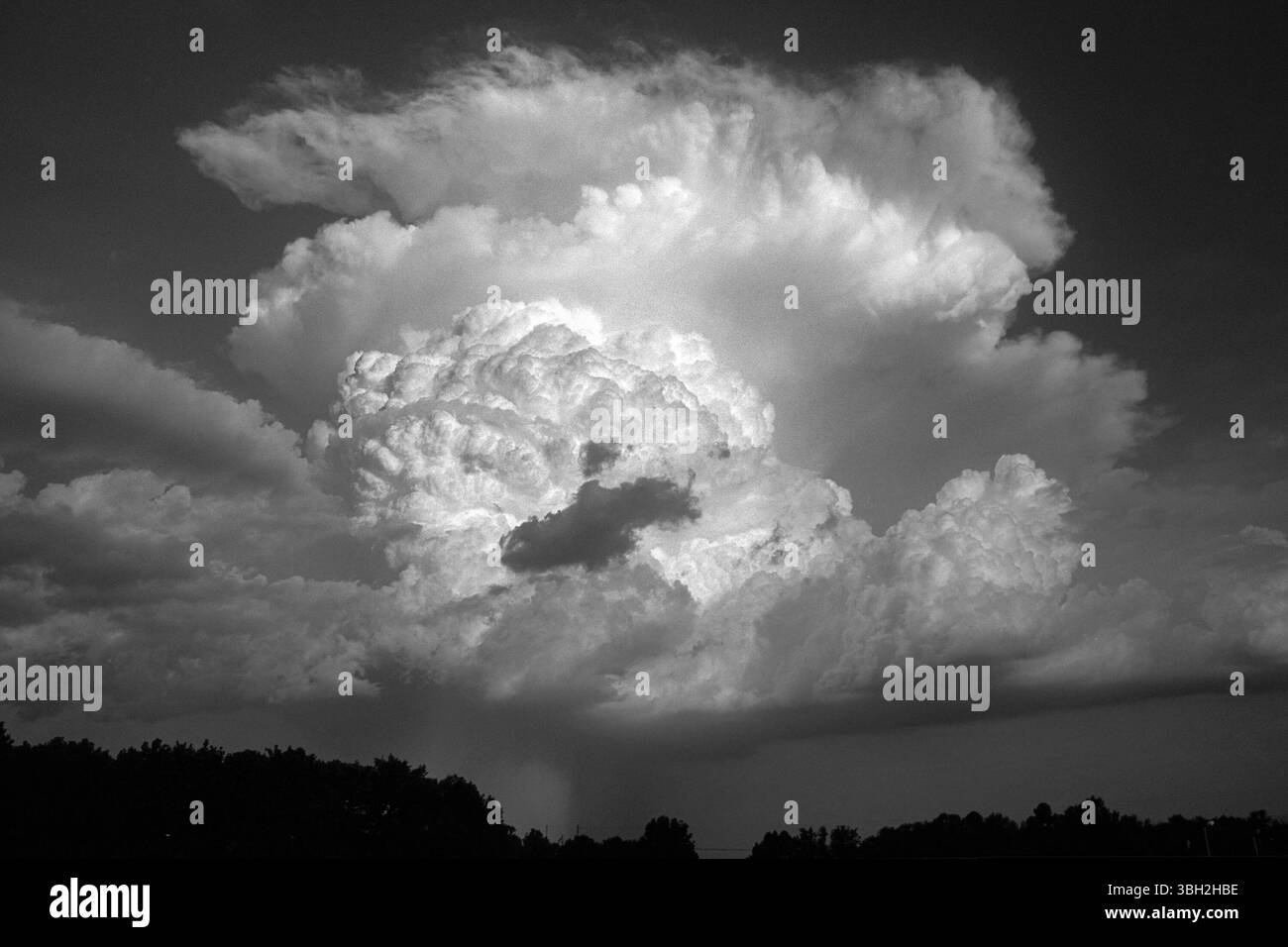 Arkansas nature Black and White Stock Photos & Images - Alamy