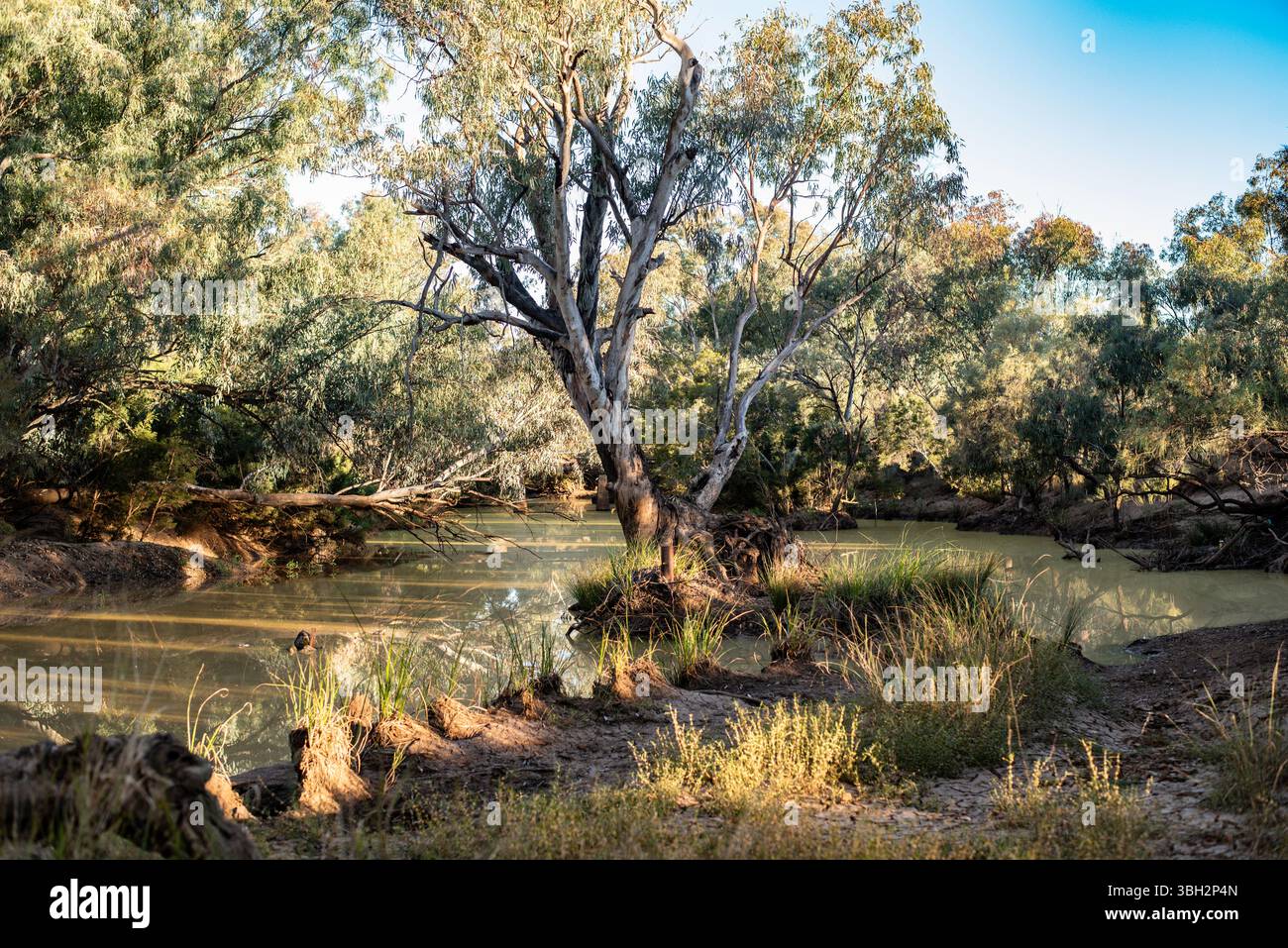 Bulloo river at Quilpie Stock Photo - Alamy