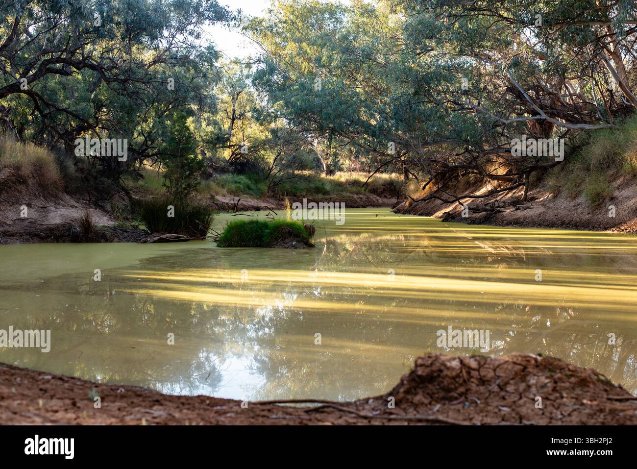 Bulloo river at Quilpie Stock Photo - Alamy