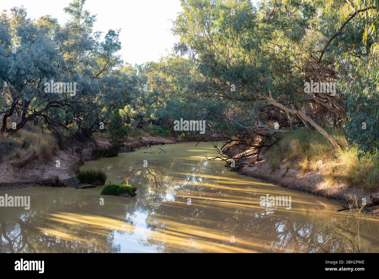 Bulloo river at Quilpie Stock Photo - Alamy