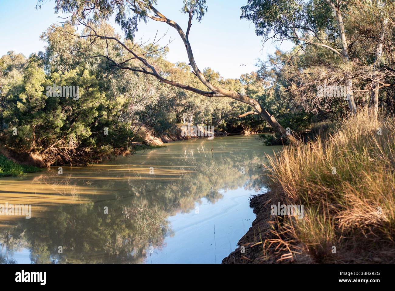 Bulloo river at Quilpie Stock Photo - Alamy
