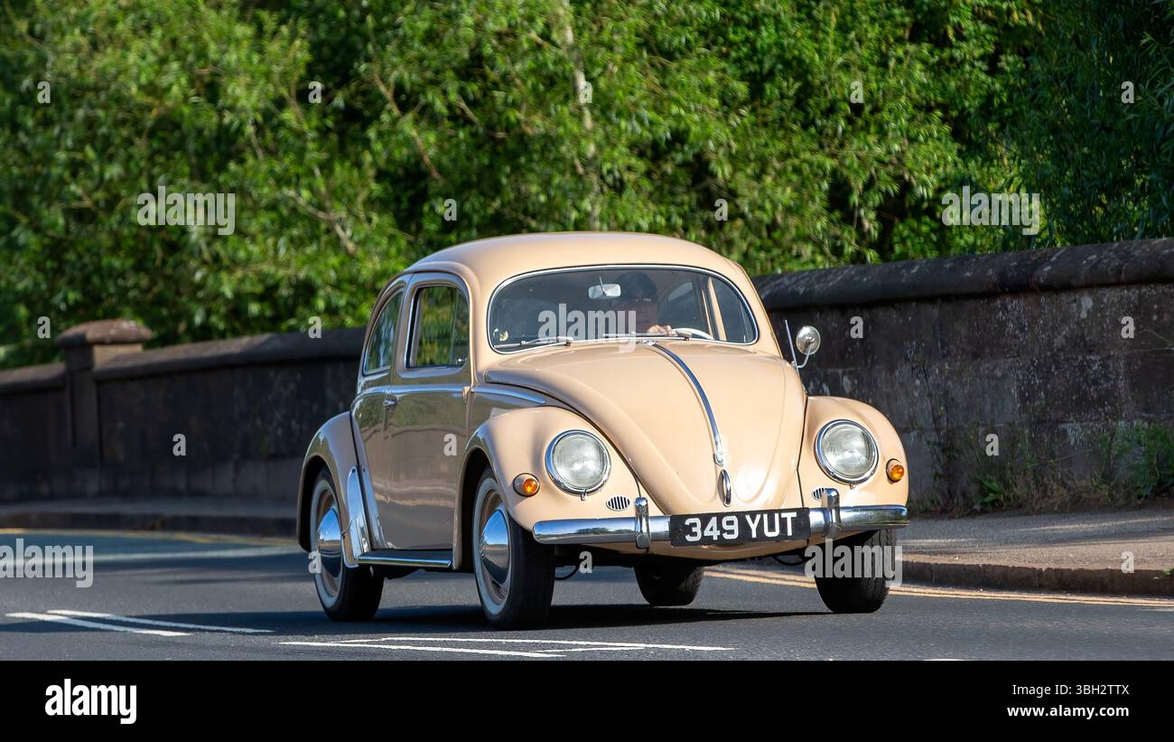 Milton Keynes,Bucks,UK - June 1st 2025: 1956 Volkswagen Beetle classic ...