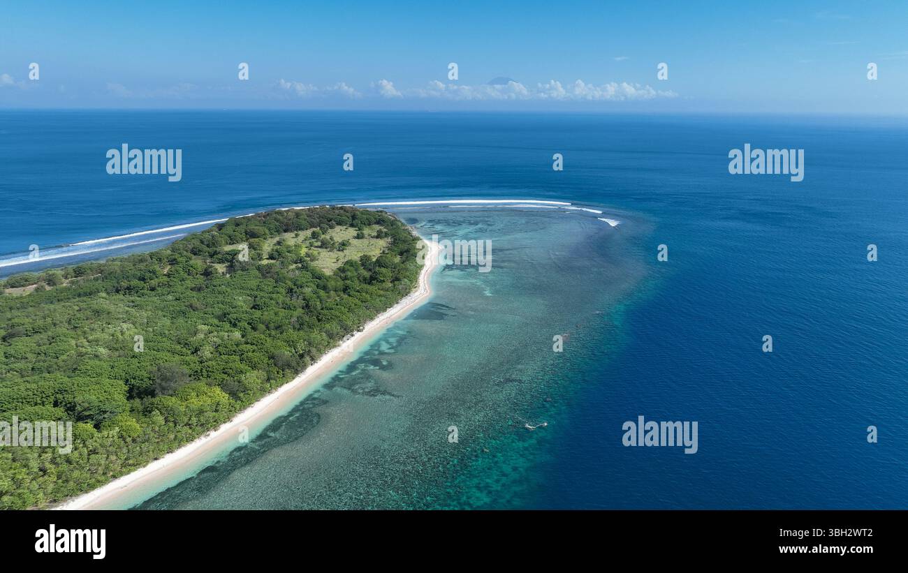 Waves break gently on a remote island shore, where dense forest meets ...