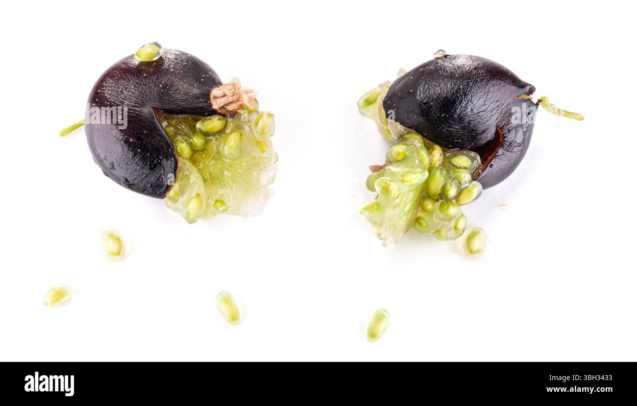 Smashed black currant berries isolated on white background Stock Photo ...